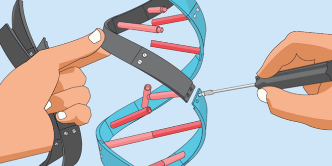 These 7 Things Can Help You Understand Gene Targeting Therapy - Quest ...
