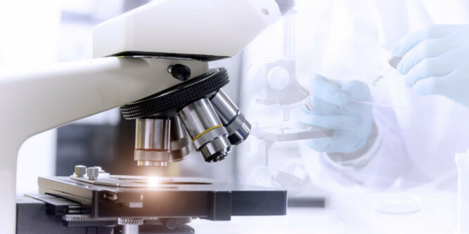 Scholar Rock Announces Positive Results from Interim Analysis of TOPAZ ...