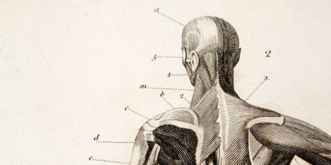 New Research Channels for Myotonia Congenita - Quest | Muscular ...