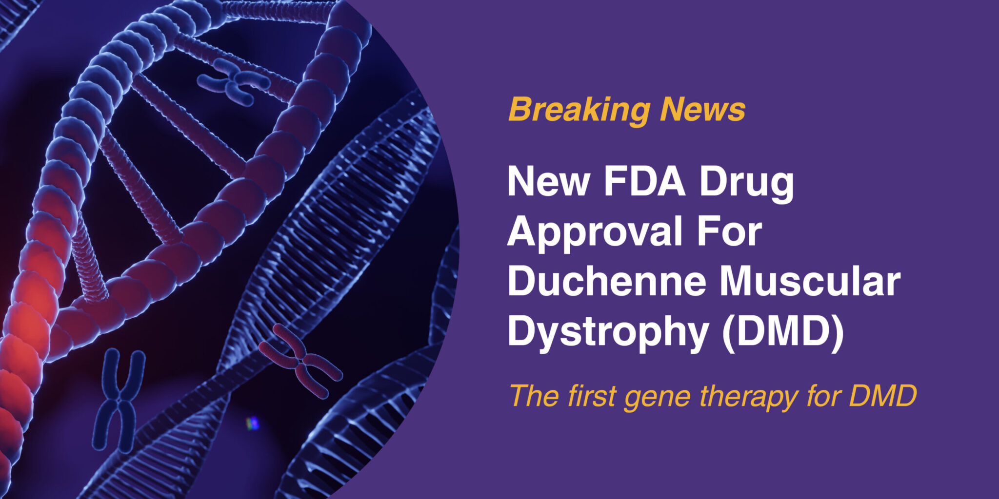 FDA Approves Sarepta’s ELEVIDYS for Treatment of DMD - Quest | Muscular Dystrophy Association