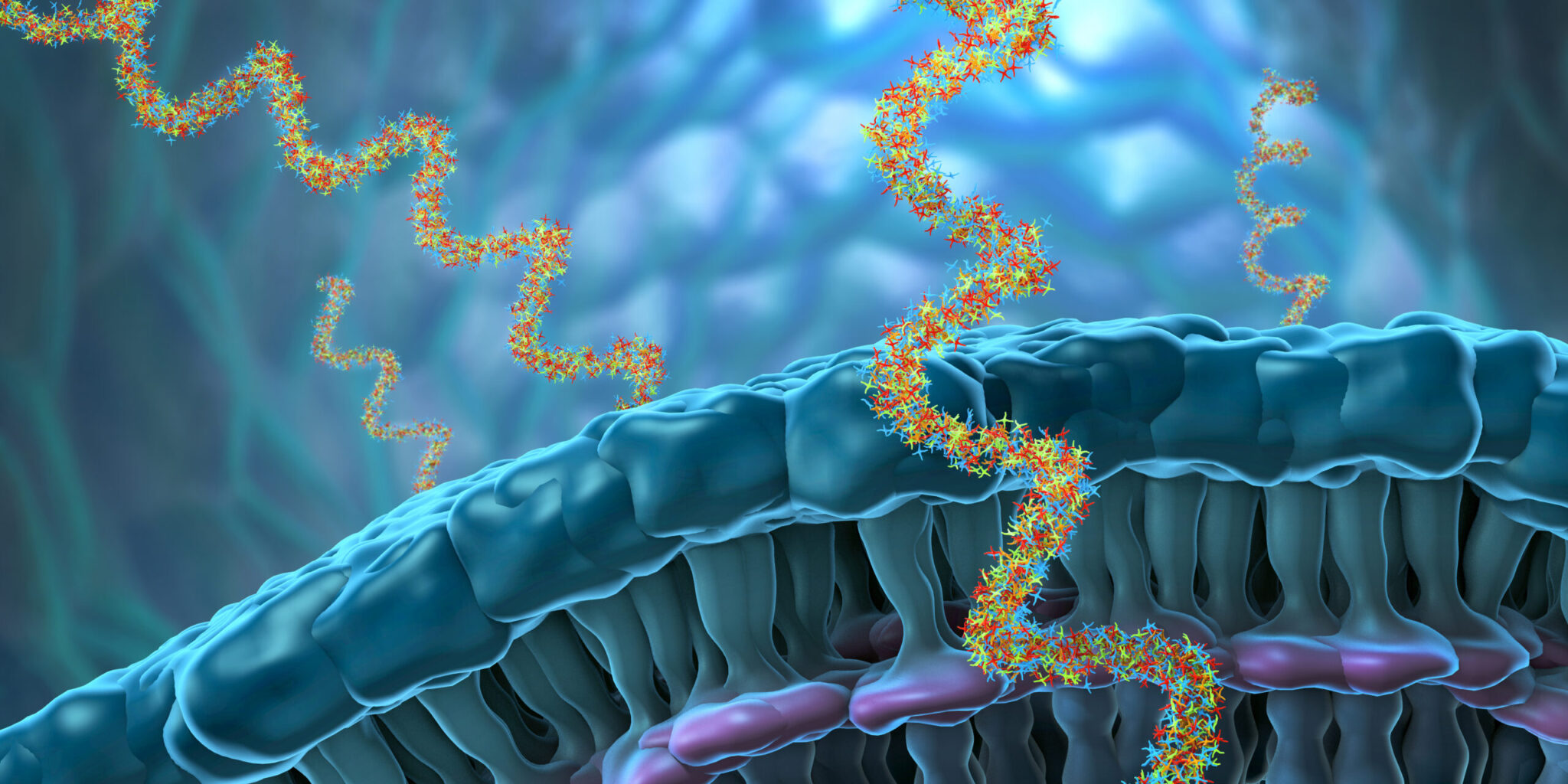 Simply Stated: Updates in SELENON-Related Myopathy - Quest | Muscular ...
