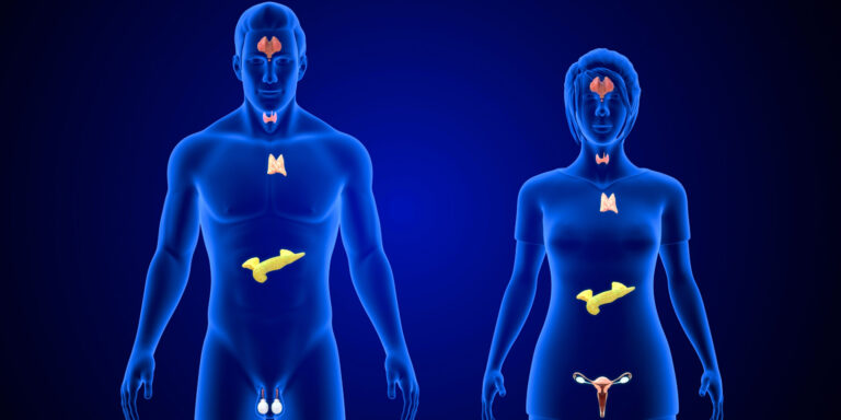 Simply Stated: Updates in Endocrine Myopathies - Quest | Muscular ...