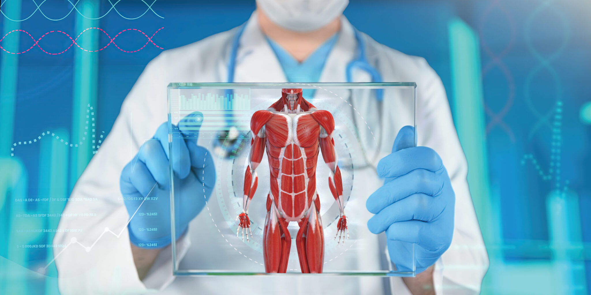 Understanding Myotonic Dystrophy (DM) - Quest | Muscular Dystrophy ...