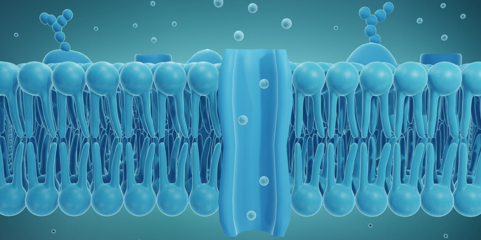 Simply Stated: Updates in Ryanodine Receptor 1-Related Disorders (RYR-1 ...